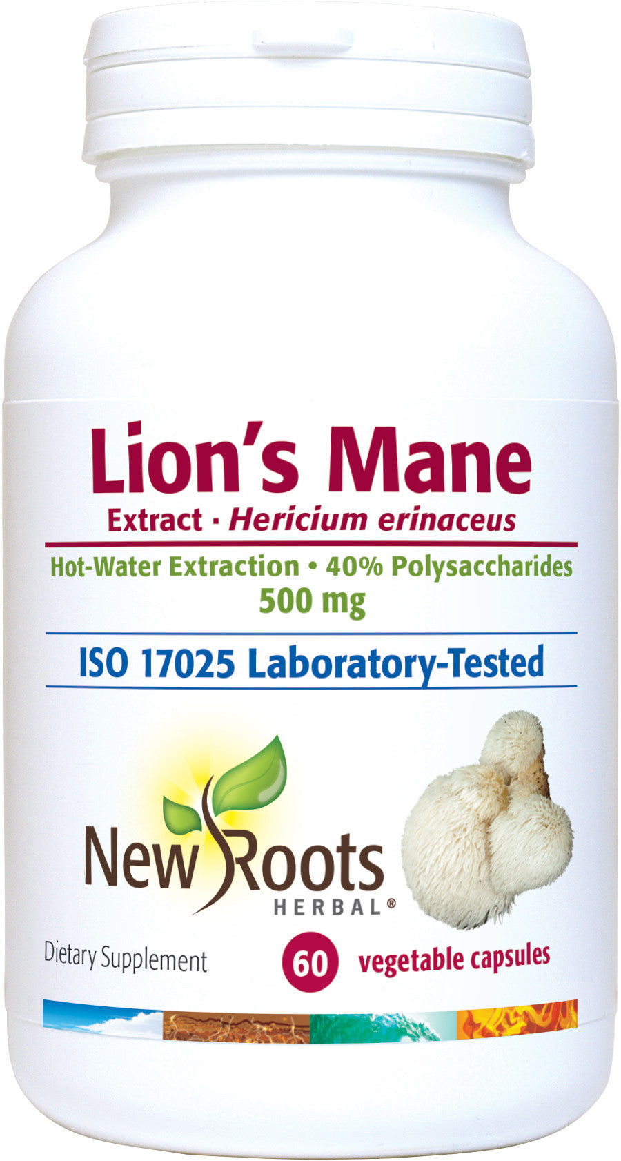 Lion's Mane – New Roots Herbal